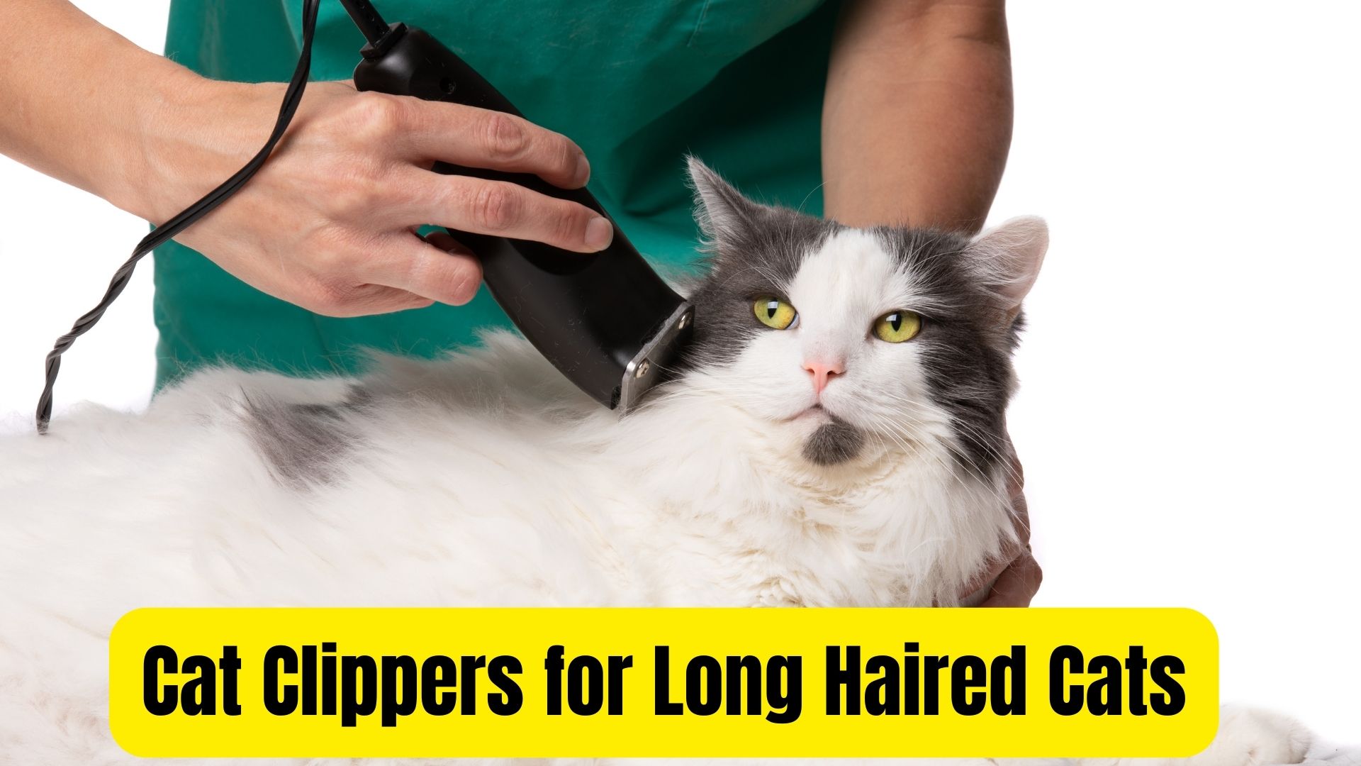 Best Cat Clippers for Long Haired Cats in 2022 - Oxford Pets