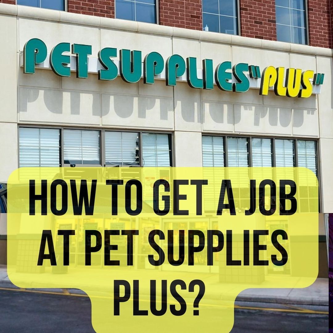 How To Get A Job At Pet Supplies Plus 2024 Career Guide Oxford Pets How To Get A Job At Pet Supplies Plus 2024 Career Guide Oxford Pets