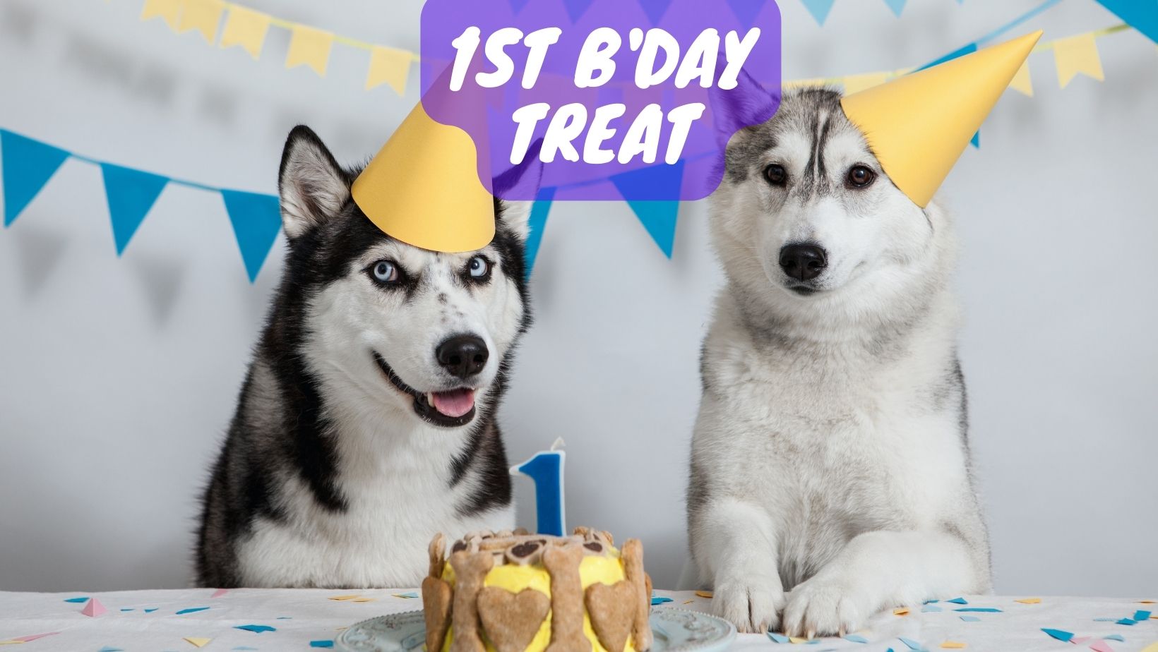 13 Important Dogs First Year Milestones - Oxford Pets
