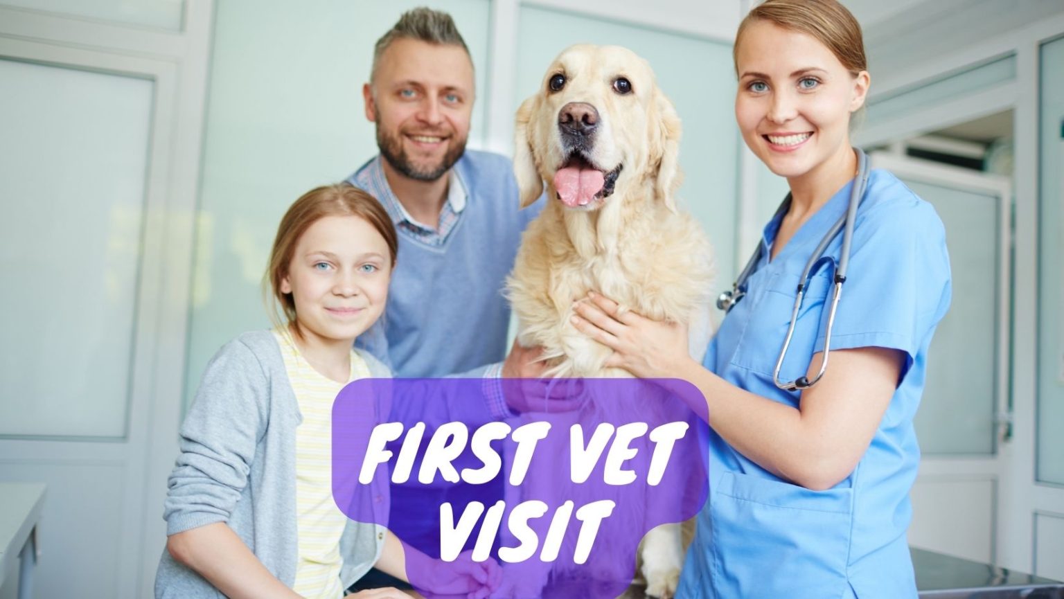 13 Important Dogs First Year Milestones - Oxford Pets