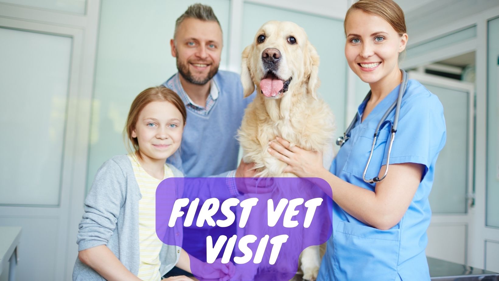 13 Important Dogs First Year Milestones - Oxford Pets