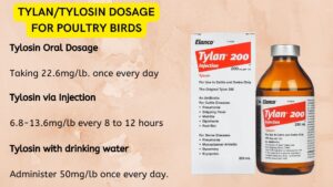 Tylosin/Tylan 200 For Chickens: Dosage Guidelines - Oxford Pets
