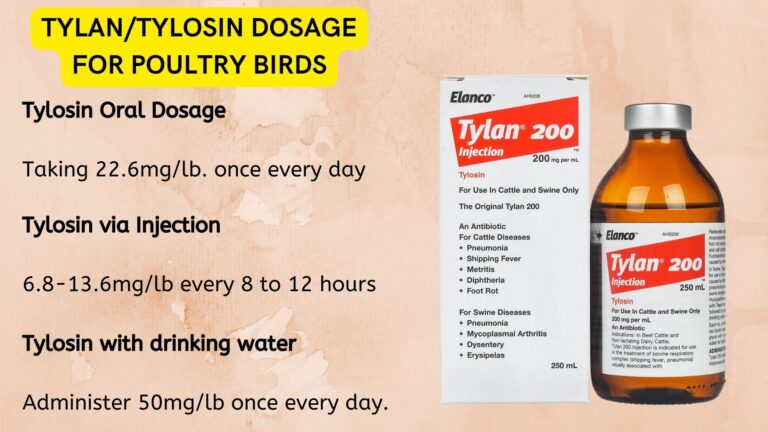 Tylosin/Tylan 200 For Chickens: Dosage Guidelines - Oxford Pets