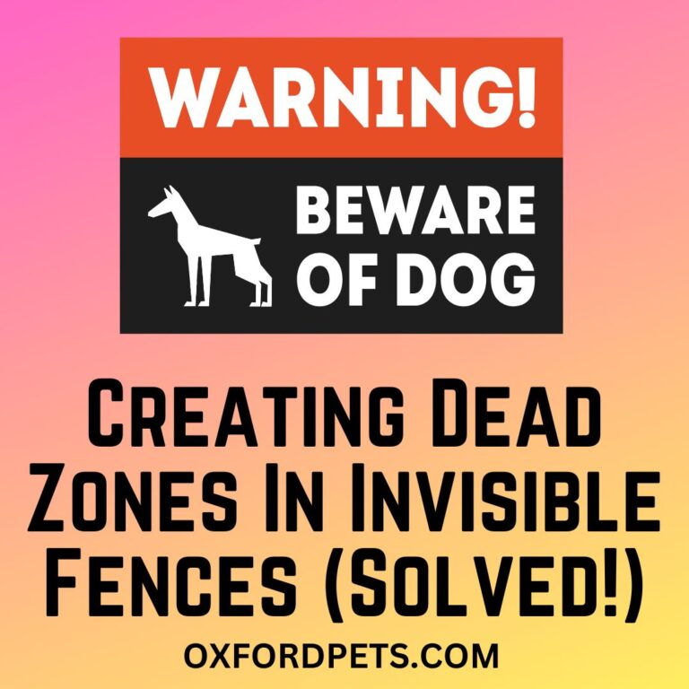 Create Dead Zone Invisible Fence