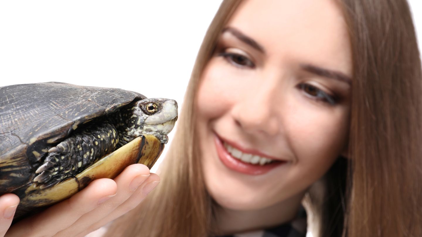 Can Turtles And Tortoises Feel Their Outside Shell? [101 Shell Facts ...